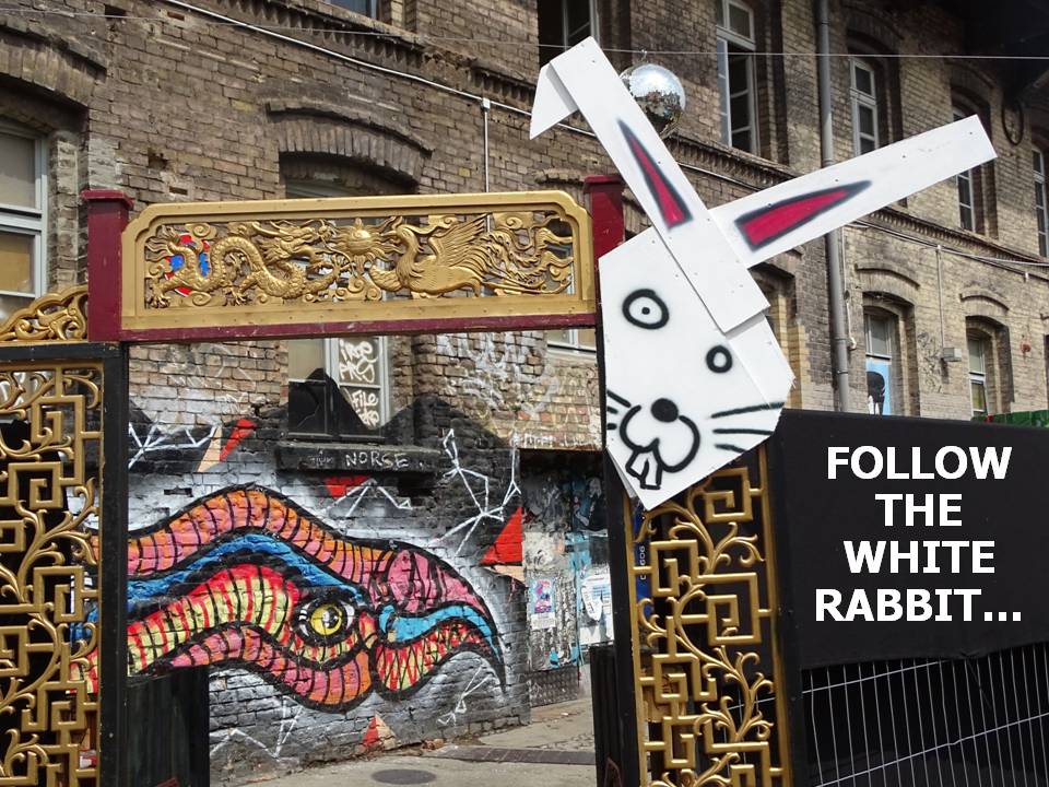 follow the white rabbit… – floatsome